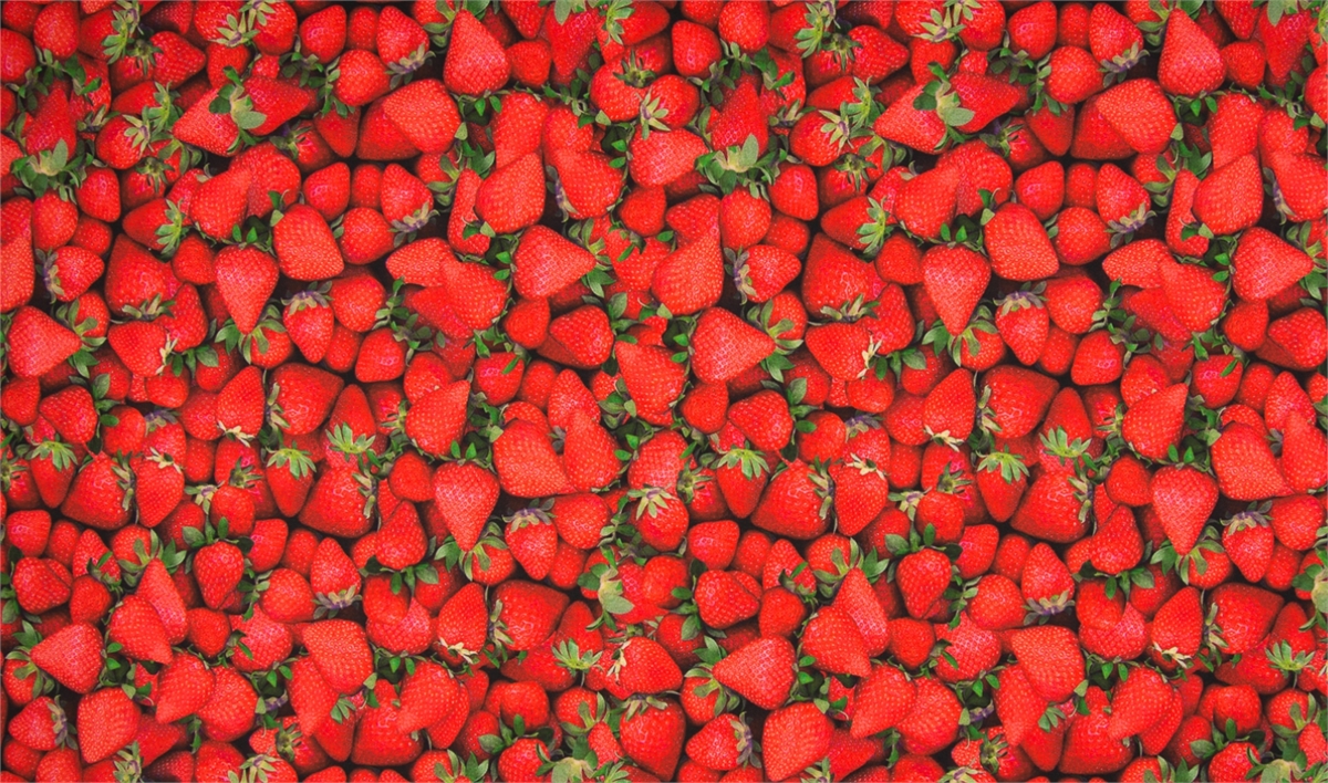 Luxury Digital Printed Cotton Jersey Fabric Material - STRAWBERRIES ...